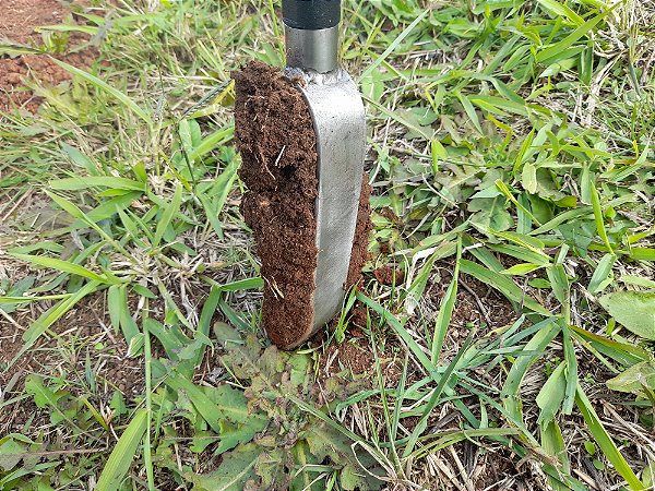 Trado Holandês -Calador (Barrena modelo método holandés y calador ...