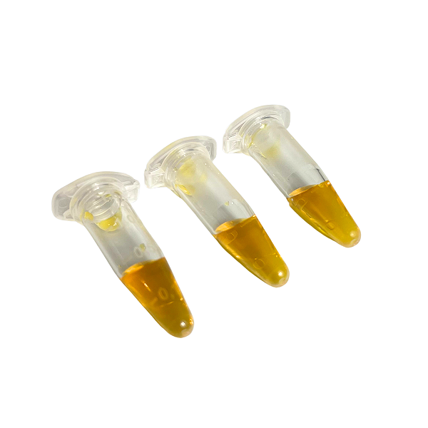 Teste de Urease Renylab - Uretest Kit 50 testes - ProMedical