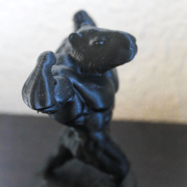 Capivara body Bodybuilder fisiculturista decoração divertid - 3d pop