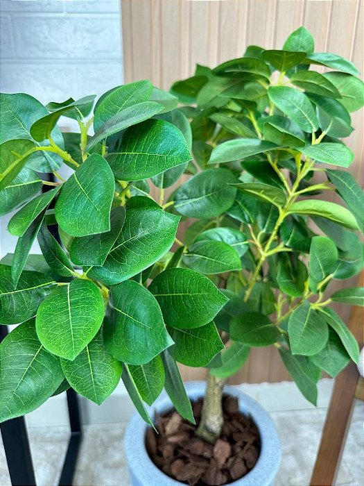 Ficus Virens Artificial 3D 80cm Vaso Polietileno Cone - Loja de ...