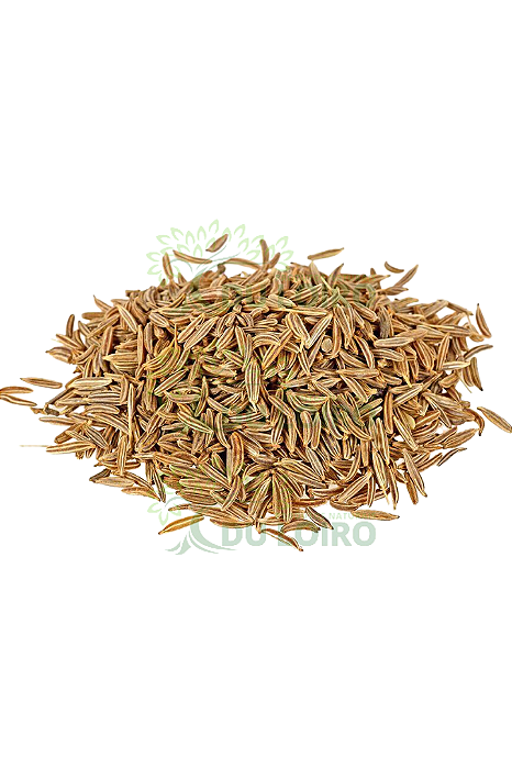 "Cominho Grão 1.001Kg - Descubra o segredo para dar um toque especial ...
