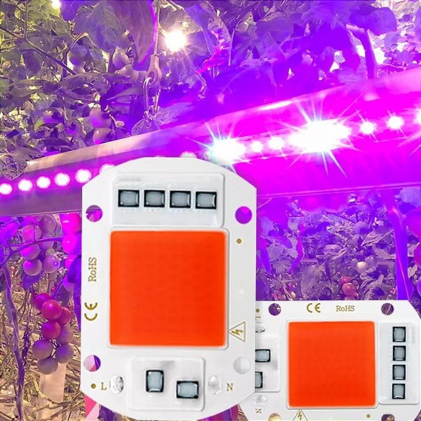Chip LED COB 50W Full Spectrum Cultivo Grow Planta Aquário 220v - Sustenta Led - A maior loja de ...