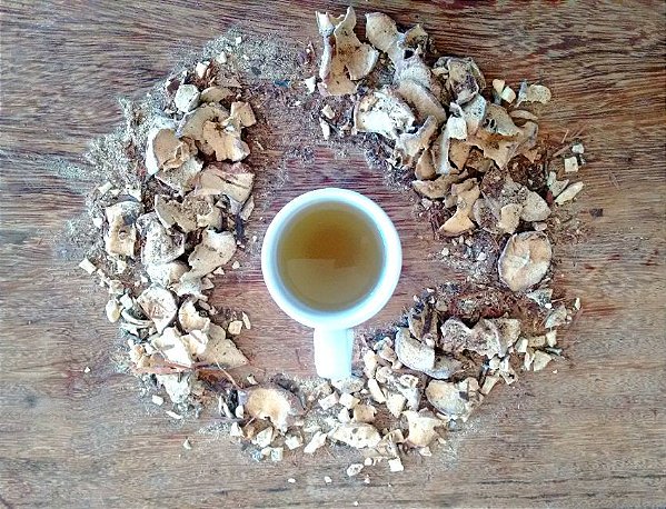 Chá de Ervas Naturais Inverno Maçã Gengibre Cubos de Laranja Cravo Ipê ...