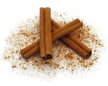 Canela (Cinnamomum verum) – Venda e Entrega no RJ | Jardineiros.net ...