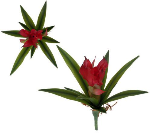 BROMELIA MINI VERMELHO - Raffaello Presentes e Decorações A melhor loja ...