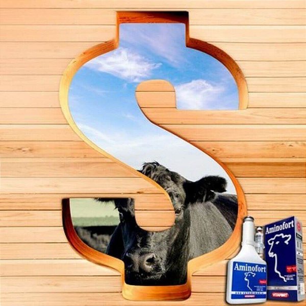 Aminofort 250mL - Vitafort - Agrocampo Giordani: Produtos Veterinários ...