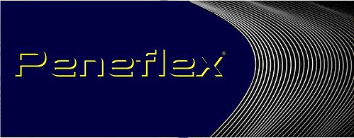 Peneflex - Desenvolvedores Penianos