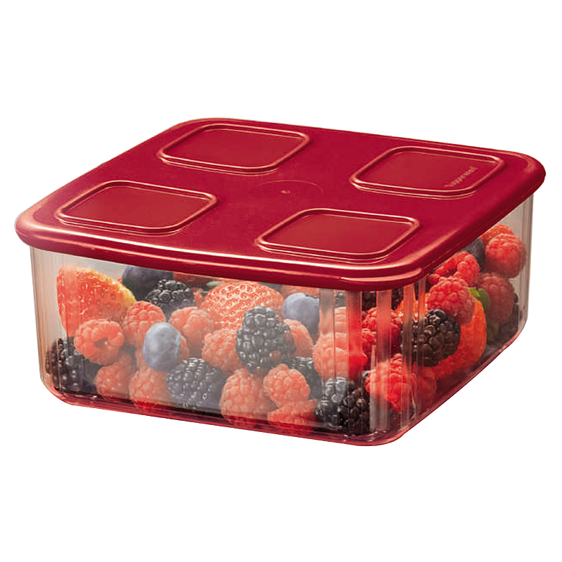 Tupperware Clear Mate Quadrado Médio 1,04 litro Vermelho - Comprar ...