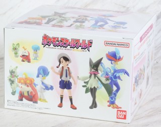 Pokemon Scale World Paldea Region Set - Treasure box
