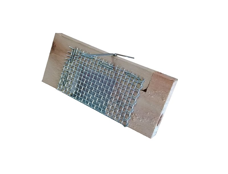 Gaiola para Introdução de Rainha Simples - Silbee