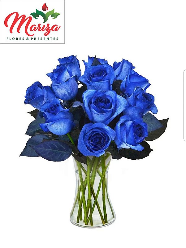 Elegante Blue 12 rosas (azul) - Mariza Flores