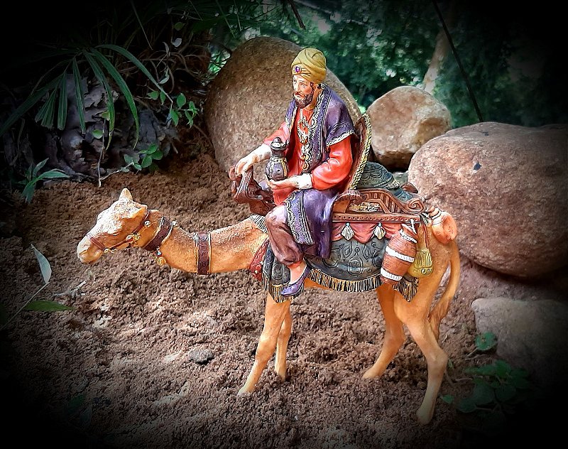 VIAJANTE COM CAMELO 2 - Arati