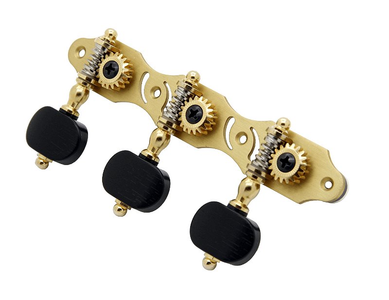 TARRAXA - Luthier Planet