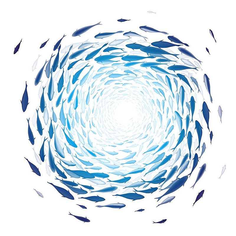 Cardume Azul - R. Barbour Art - Impressão FineArt, quadros e molduras ...