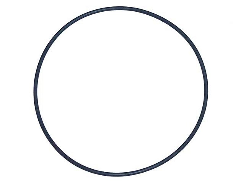 Anel Vedacao Bomba Agua 123,5X3Mm Origin Volvo FH D12 975687 - Super ...