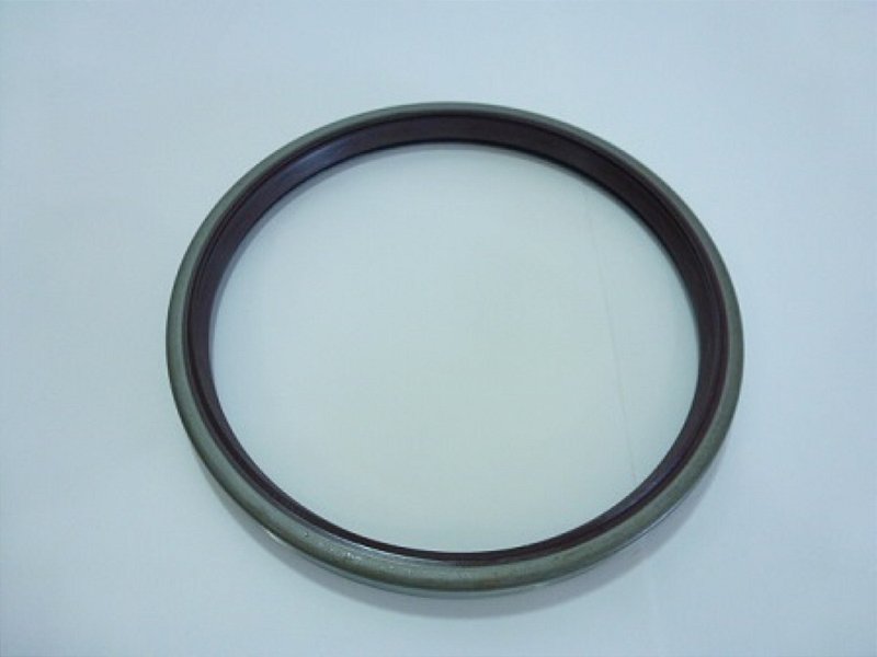 Retentor Roda Traseira 180X200X17MM Para Ive IVECO EUROTRAKKER 450 ...