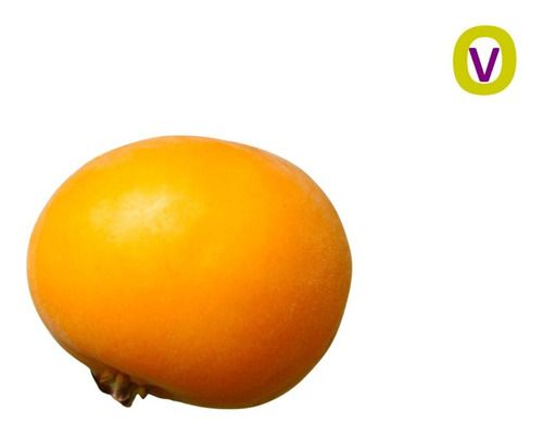 1 Muda De Uvaia/orvalha - Alta Qualidade + Manual De Plantio - Vita Oliva