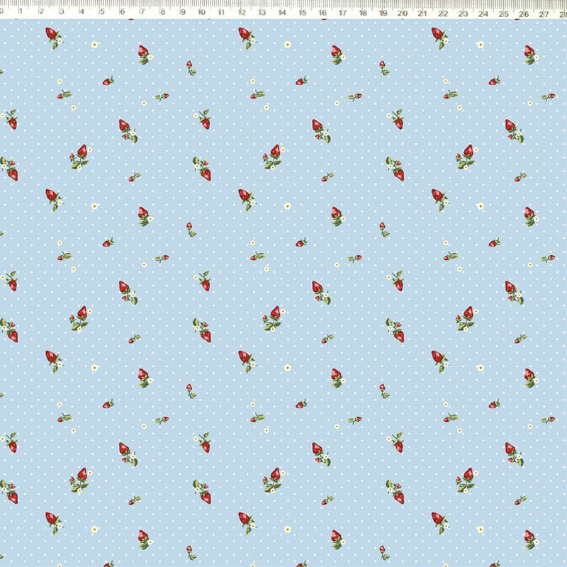 Tecido Fresa Morango com Poá Azul Claro - 29100C01 - poaecompose
