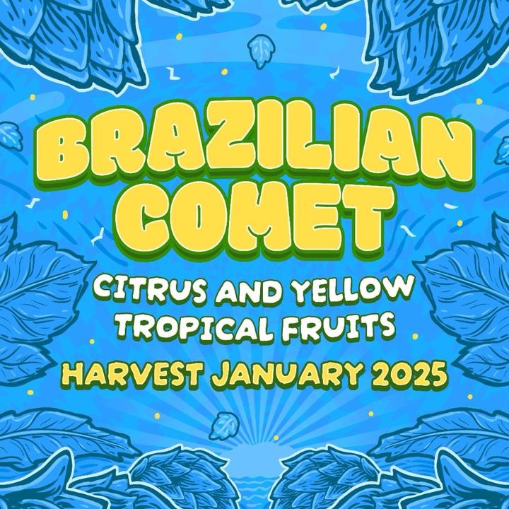 Lúpulo Brazilian Comet Start Hops pct 50g - EZbrew