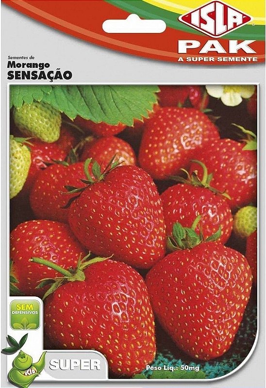 Semente de Morango Sensação - Casa das Sementes Lavras