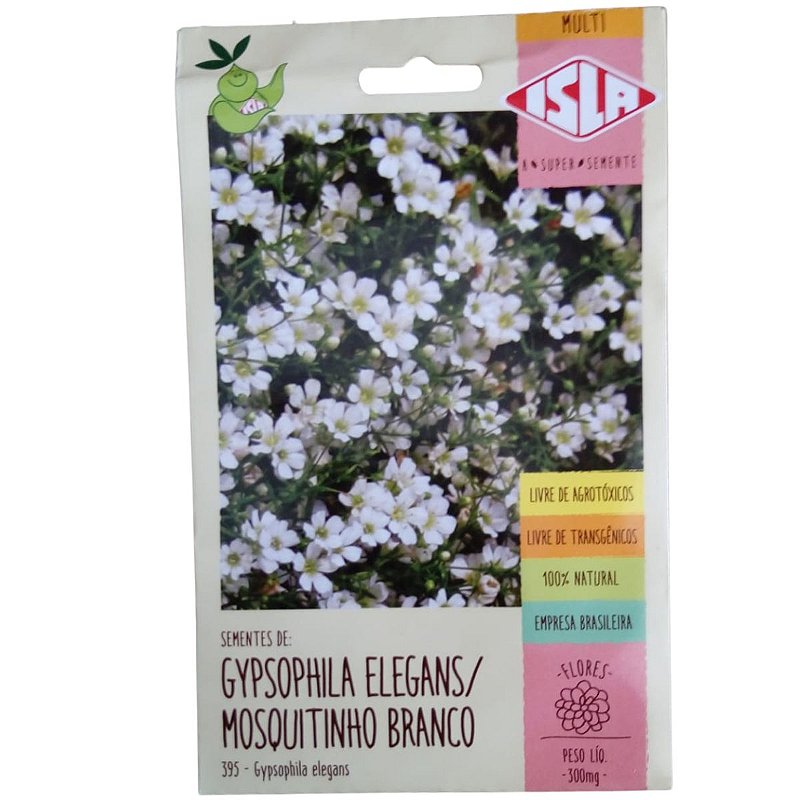 Semente de Flor Gypsophila Elegans / Mosquitinho Branco 1g - Isla ...