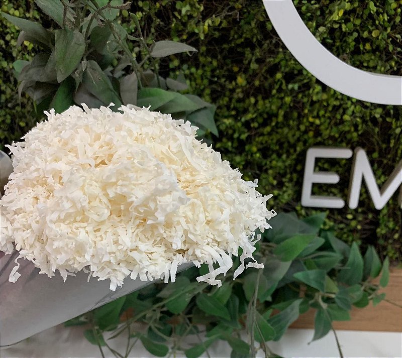 Coco Flocos Sem açúcar 100g - Cajusul Empório Natural