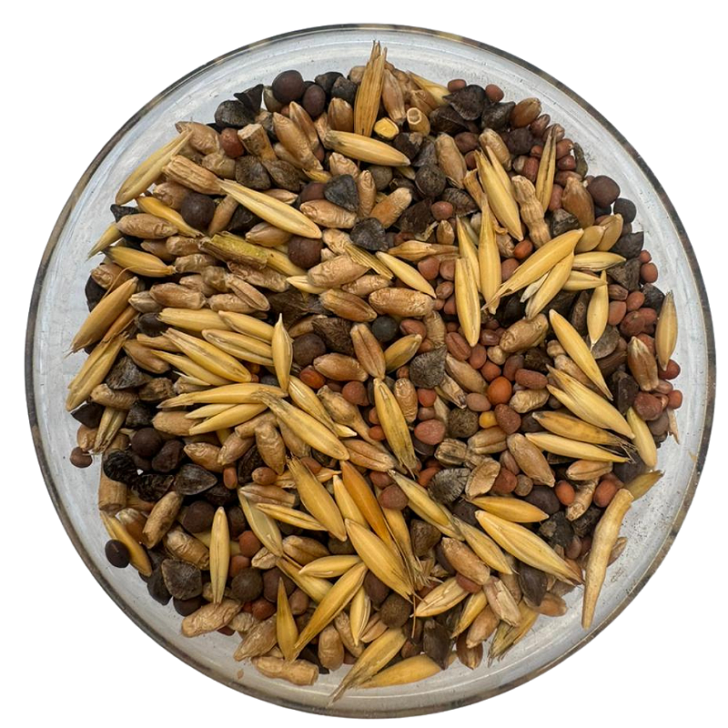 Sementes de Mix de Inverno - Crotalaria Brasil