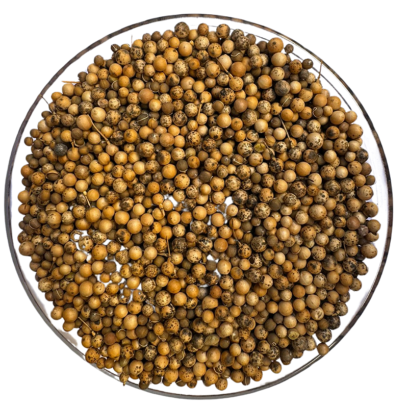 Sementes de Crambe - Crotalaria Brasil