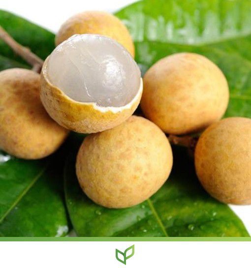 Longan ou Longana - bhmudas