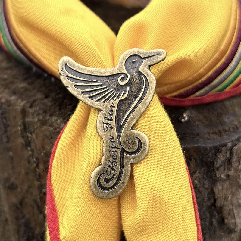 Arganéu/Prendedor beija flor, ouro velho - Gautério