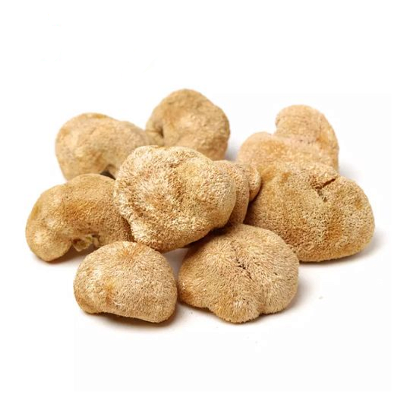 Juba de Leão Desidratado 1 Kg - Portal do Cogumelo