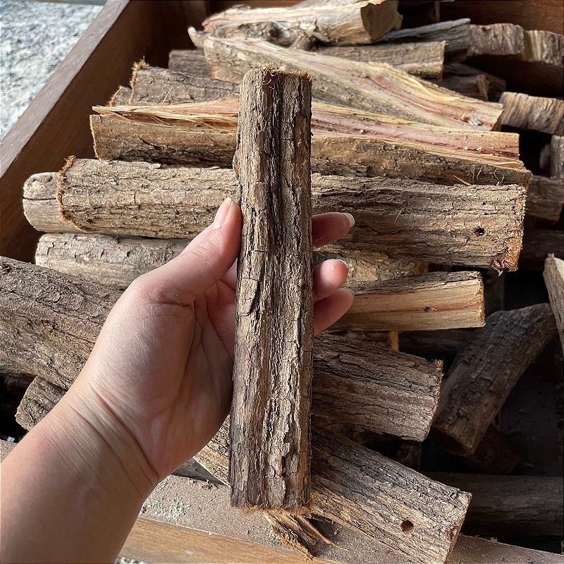 Tronco de madeira pequeno de Sansão do campo - Orquídeas & Cia