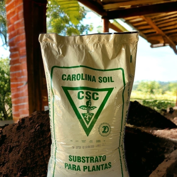 Carolina Soil: Substrato Ideal para Raízes Saudáveis - Orquidario em Mogi Mirim/SP - As mais ...