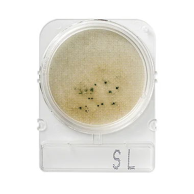 COMPACT DRY SL SALMONELLA - LAB LAC Soluções e Reagentes para Laboratório.