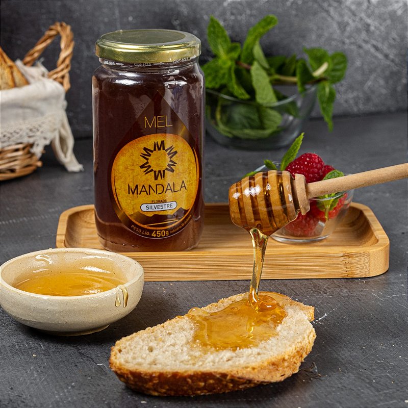 Mel Puro Mandala Florada Silvestre 450G - O Queijólatra Loja ...