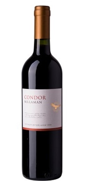 Vinho Tinto Condor Carmenere 750ml - Tamaru Gourmet