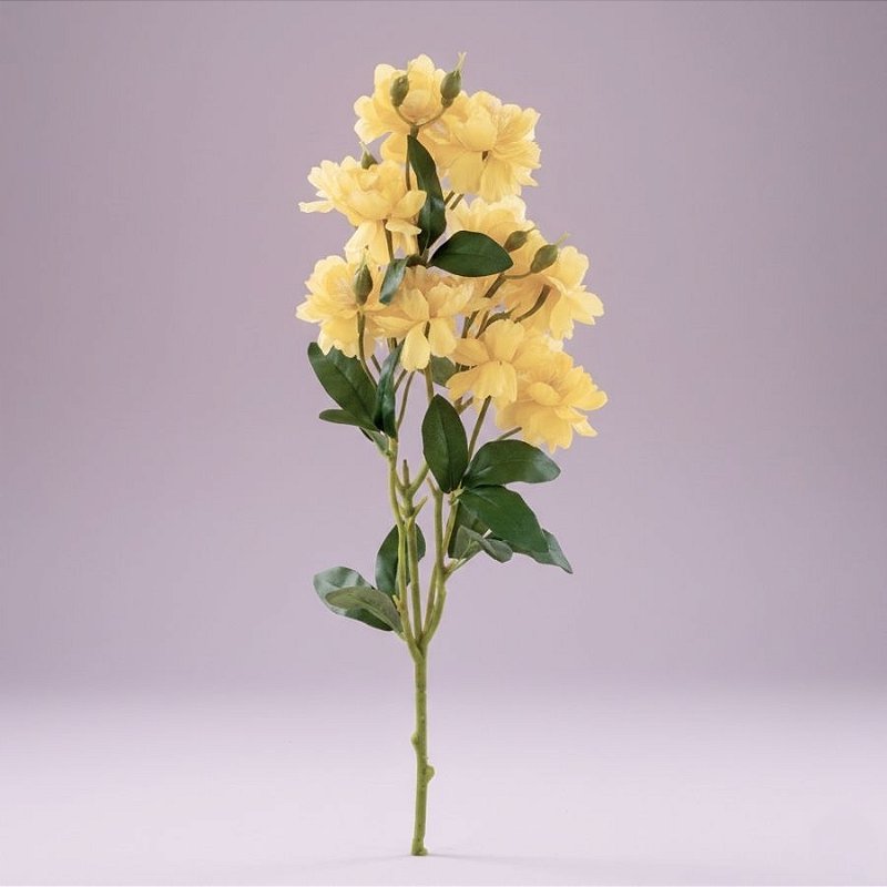 Haste Flor Permanente - Rosa Banksiae - Amarelo - 64cm - 1 unidade ...