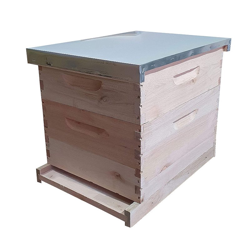 Colmeia Padrão Langstroth Com 01 Ninho e 01 Melgueira Cobertura de ...