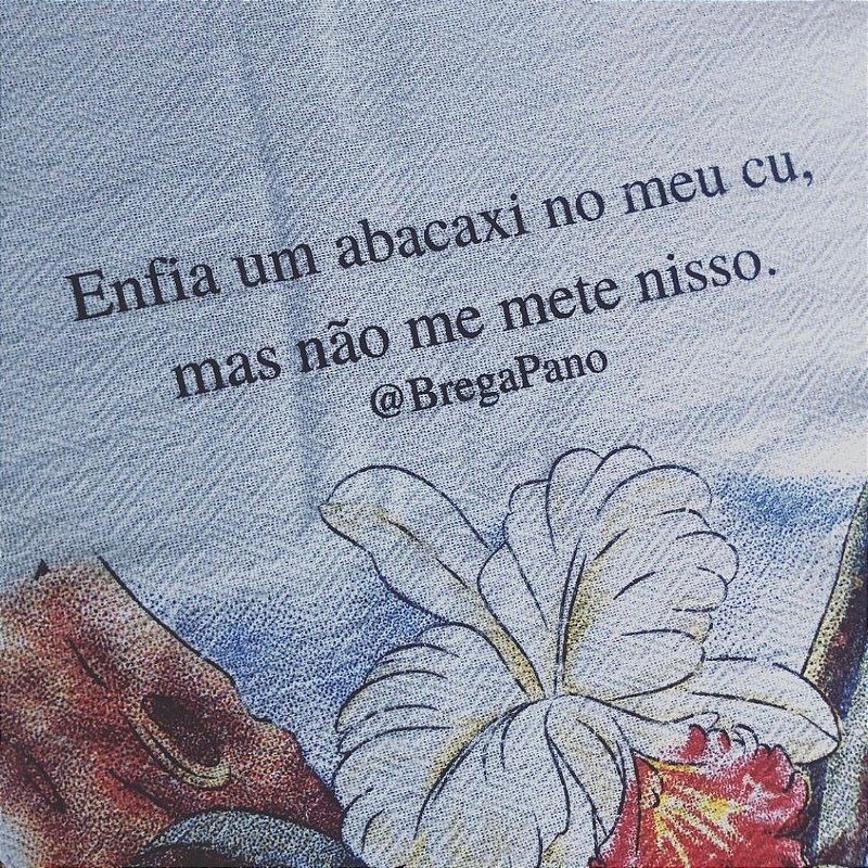Enfia Um Abacaxi No Meu Cu Mas Não Me Mete Nisso Bregapano