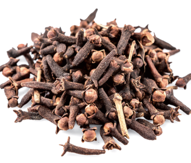 Cravo - Empório Aruna