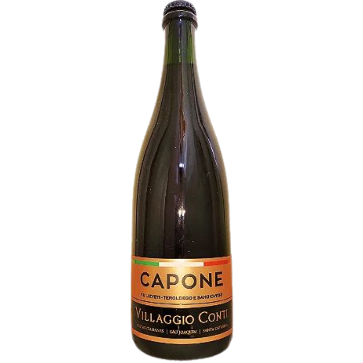 Espumante Villaggio Conti Capone Sur Lie Rosé 750ml - Alvino Expert ...