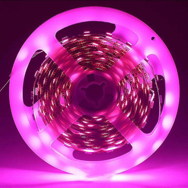 FITA LED NEON ROSA 127V - Tokled Materiais Elétricos