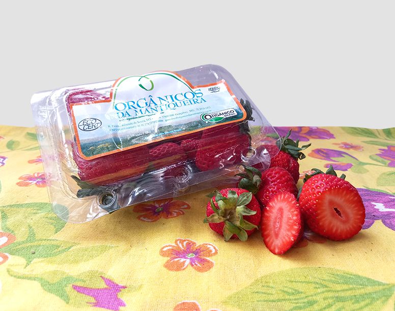 Morango Bandeja 200 g - Cesta Camponesa