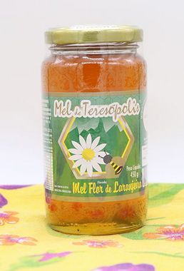 Mel Florada de Laranjeiras 450 g - Cesta Camponesa