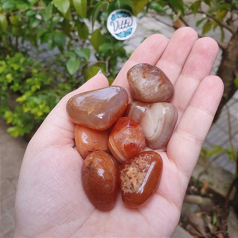 Cornalina Rolada - Alegria, Estímulo, Vitalidade e Energia - Vitti ...