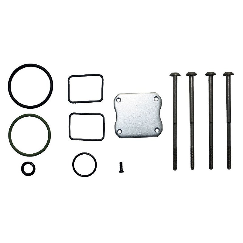 Kit de Reparo para BBA 0445020033 Java CP3 MWM X12 / Agrale ...