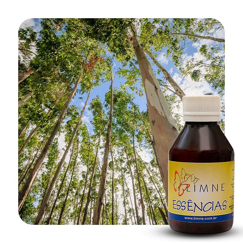 ESSÊCIA EUCALIPTO 100ML - Limne Cosméticos
