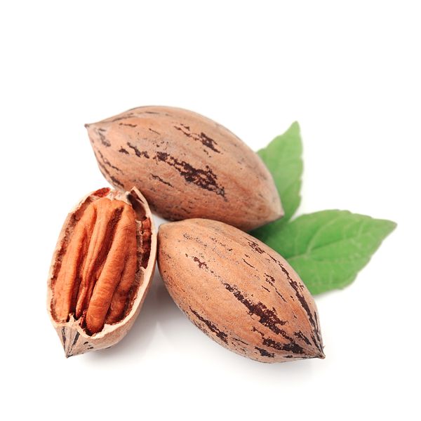 Kit com 3 Mudas de Nozes Pecan Enxertadas Produzem em 2 Anos - Semente ...