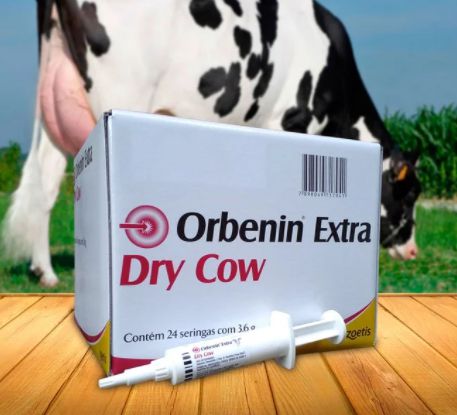 Orbenin Extra Dry Cow 24 unidades - Farmácia da Vaca - Farmácia da Vaca ...