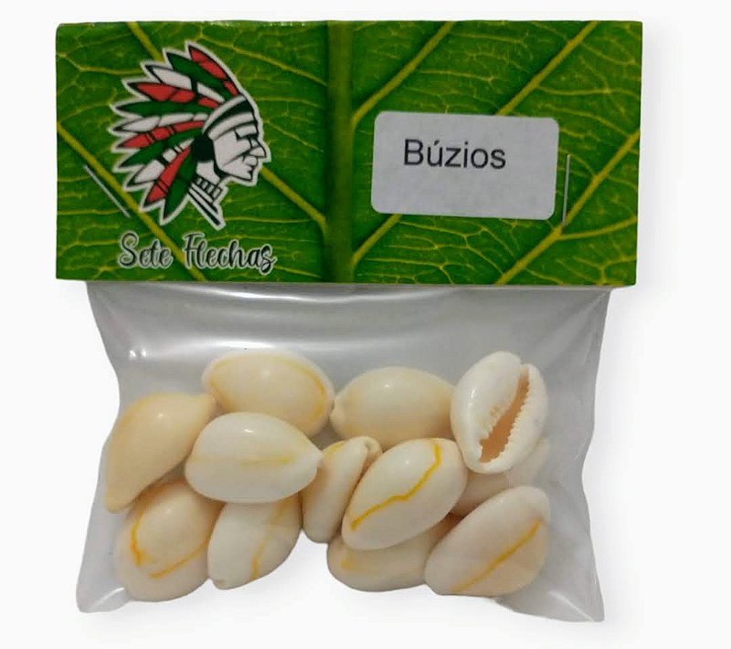 Búzios Branco Natural 12 Unidades - Casa do Caboclo Sete Flechas